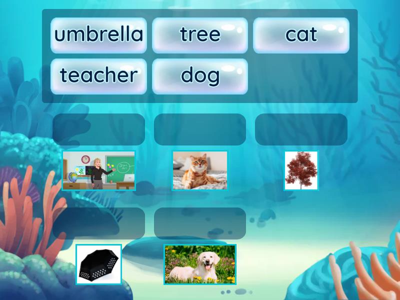 match the picture (Grade 1) - Match up