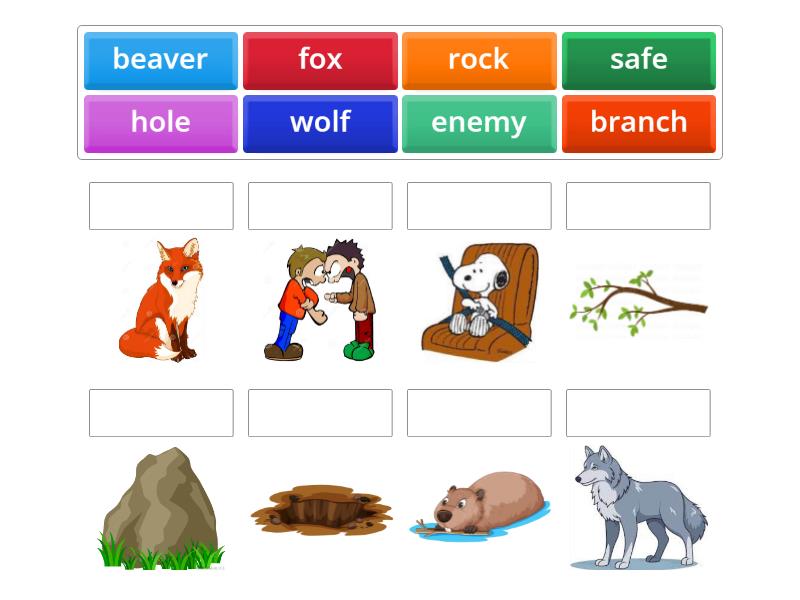 GE2.UNIT8.6.WHERE DO ANIMALS BUILD HOMES? - Match up
