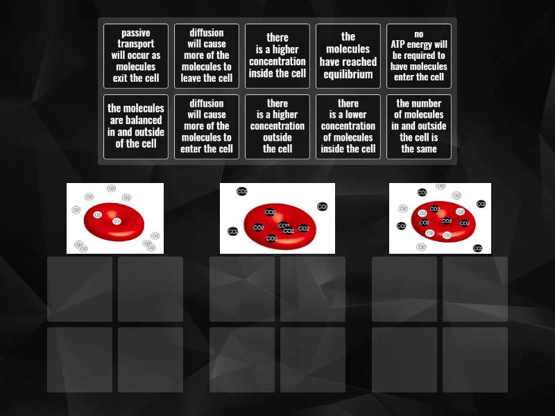 Describing Diffusion Diagrams - Group sort