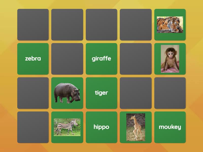 TT2 unit 8 (animals) - Matching pairs