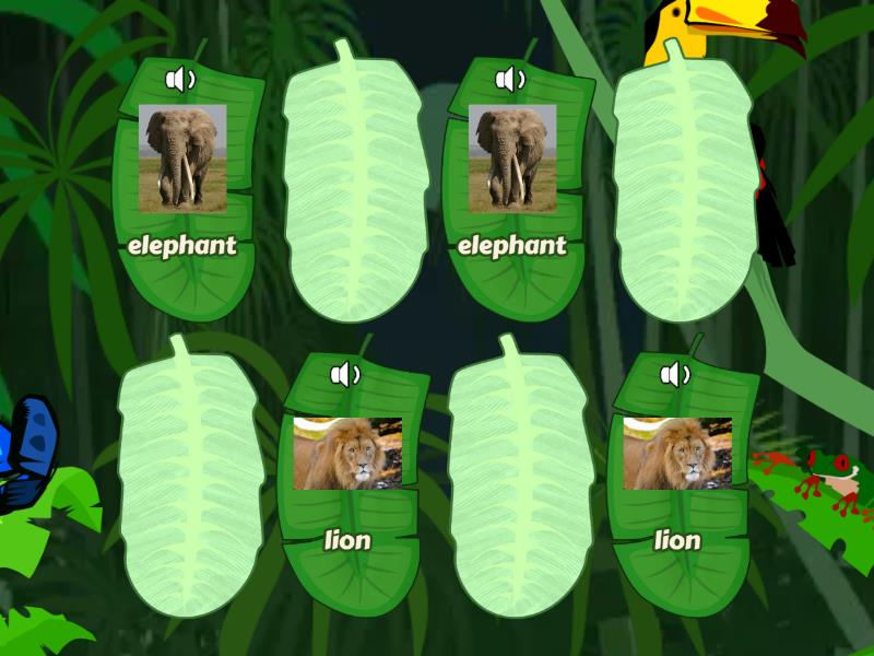 Monkey/ Lion/ Elephant/ Tiger - Matching pairs
