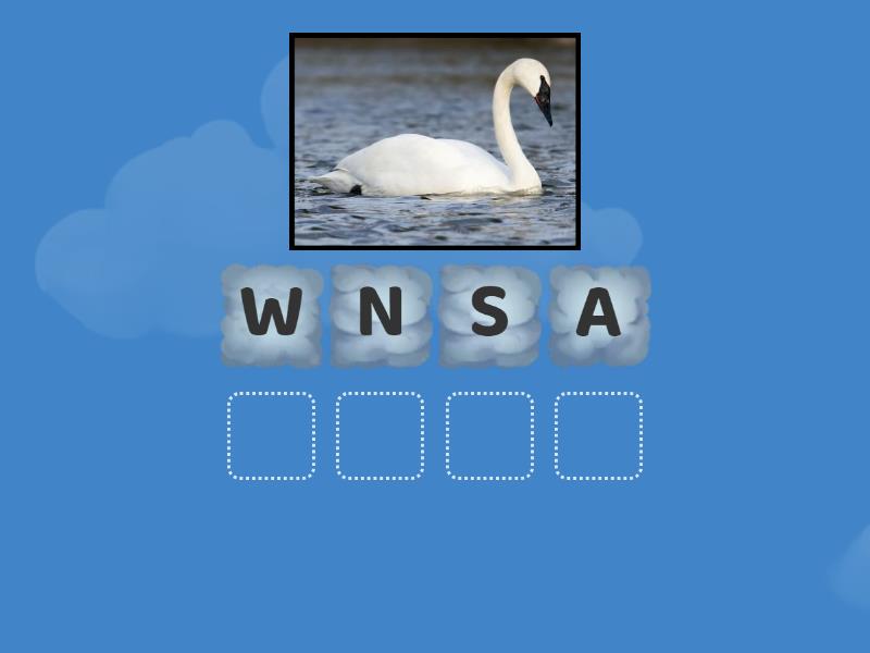 Unit 4 - Type of birds - Anagrama