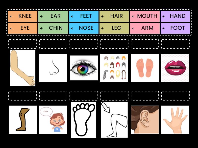 MY BODY 2 - Match up