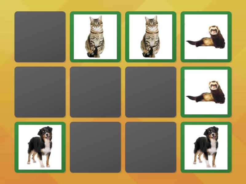 KIDS - MATCH THE PAIRS! - Matching pairs