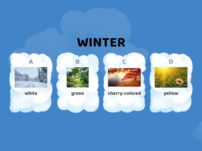 The colors of the seasons - Quiz