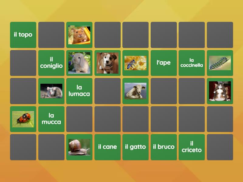 Gli animali - Matching pairs