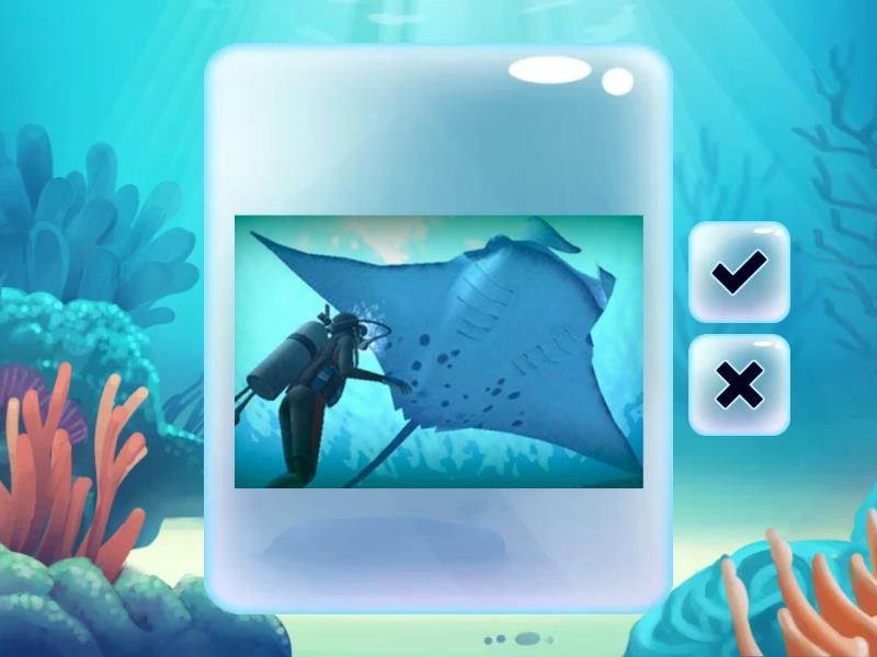 Flashcard Hewan Laut - Flash cards