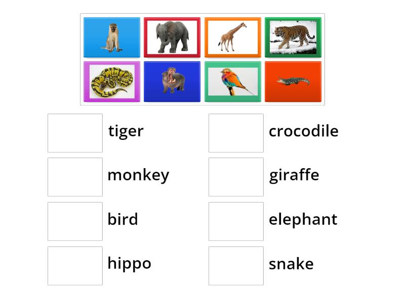 Wild Animals - Match up