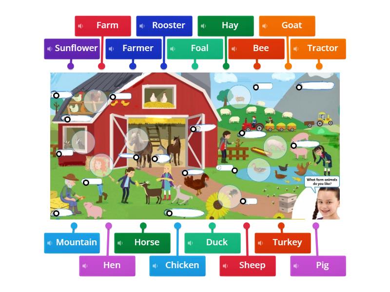 On the farm - Labelled diagram