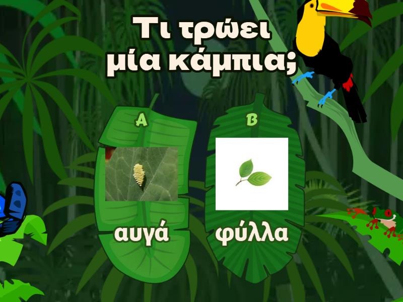 Κουίζ κυκλος ζωής πεταλούδας! - Quiz