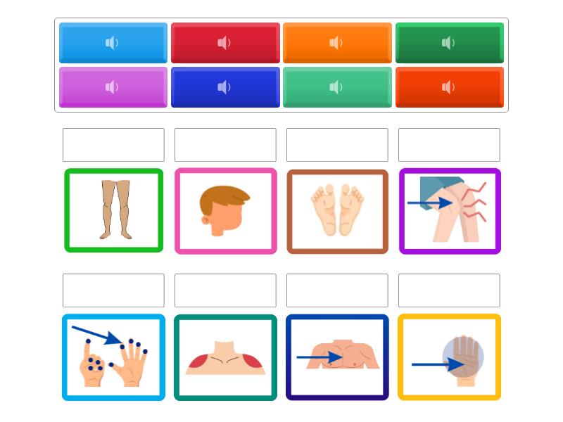 PW JUNIORS BODY PARTS 2 HOMEWORK P2 - Match up