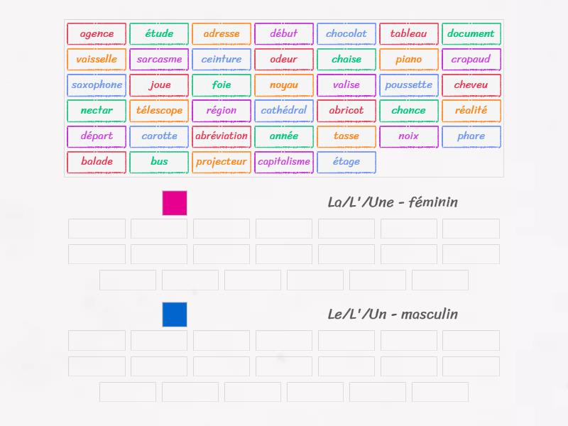 Le genre des noms - A1. Exercice 1. - Trier par groupe