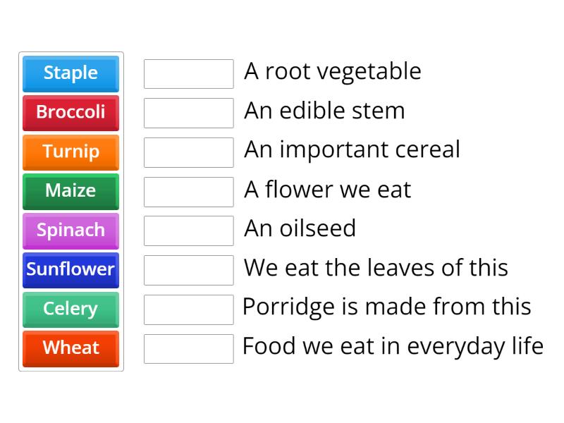 Plants as food- Guess the plant - Match up