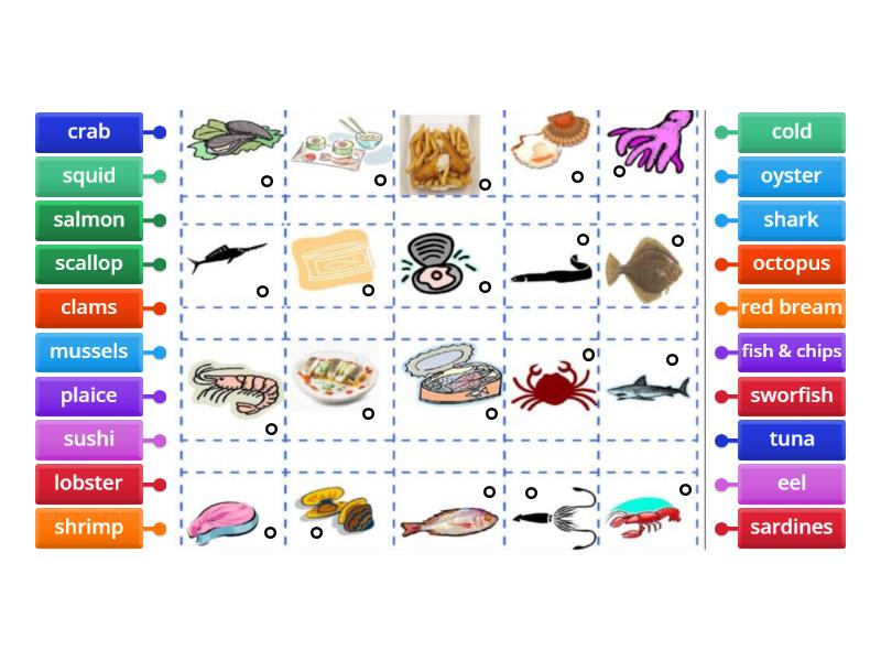 A1: Types of fishes - Labelled diagram