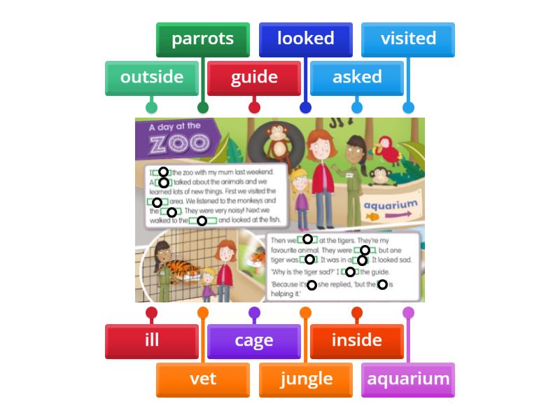 AS2 Unit 10 Reading Part 1 - Labelled diagram