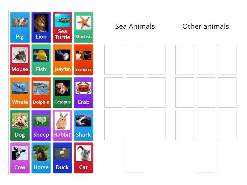 Sea animals Sorting game - Group sort
