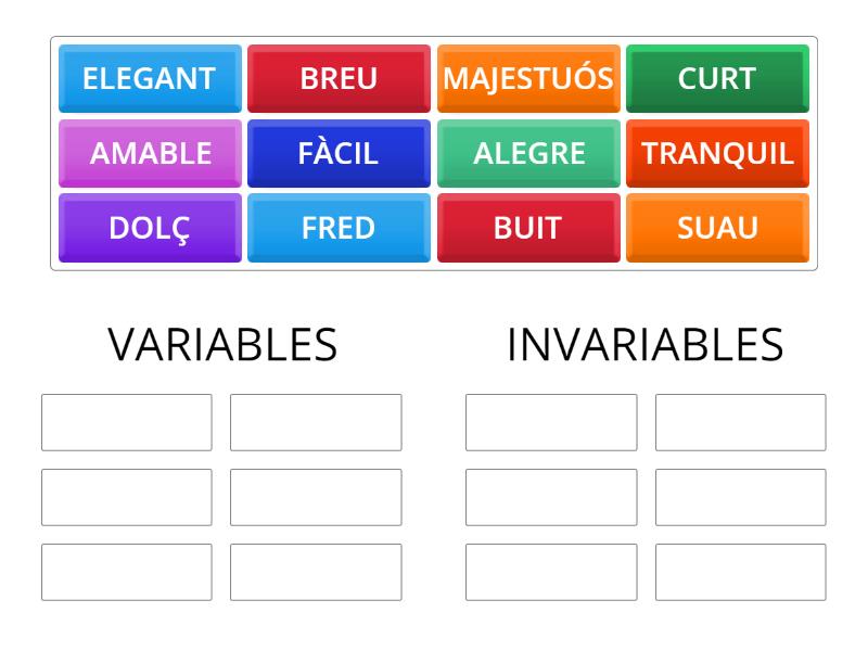 ADJECTIUS VARIABLES INVARIABLES - Group sort
