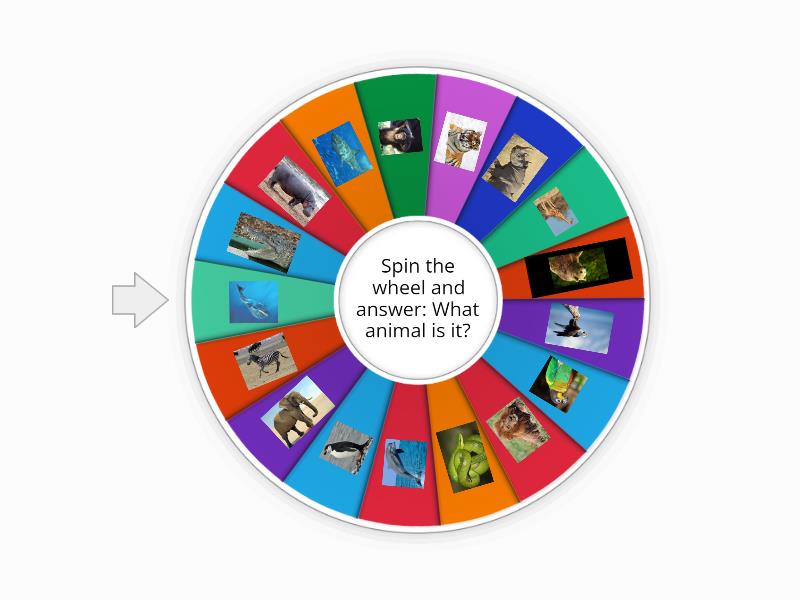 The animals wheel - Random wheel