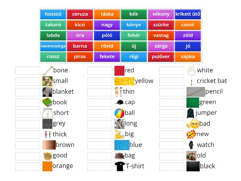 Project 1 3b words - Match up