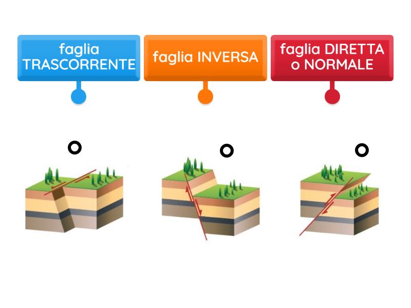 TIPI DI FAGLIA - Diagrama con etiquetas