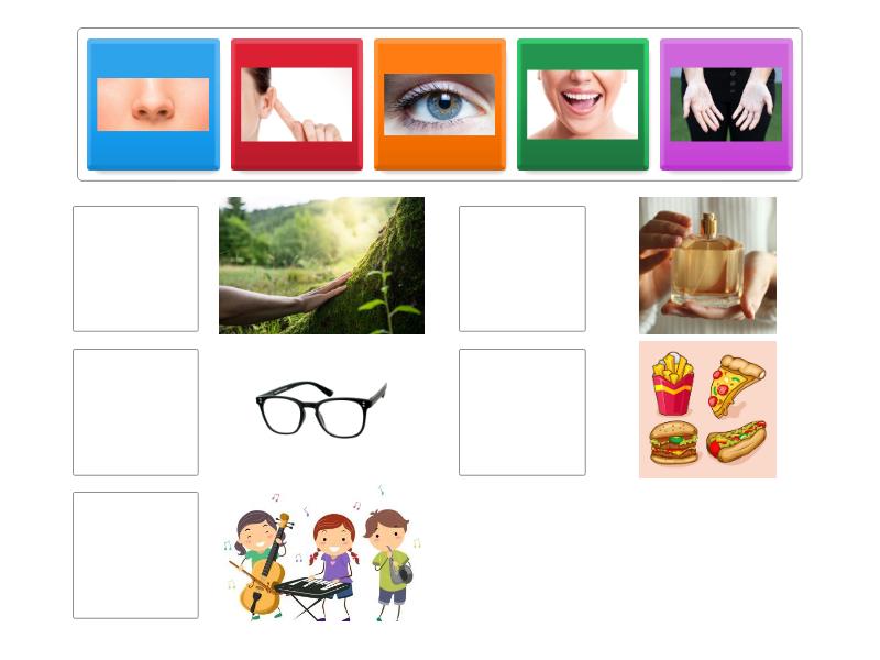 Los cinco sentidos - Match up