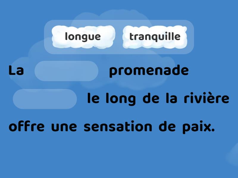 BAGS adjectives - Completa la oración