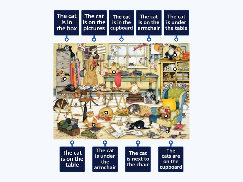 Where is the cat? - Labelled diagram