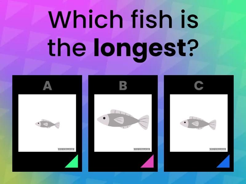 Height and Length - Quiz