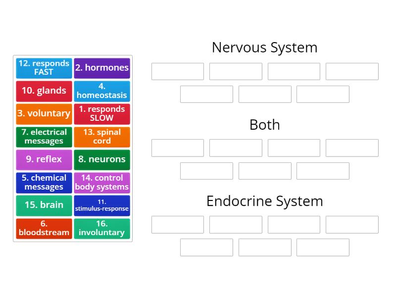 Nervous & Endocrine System - Ordenar por grupo