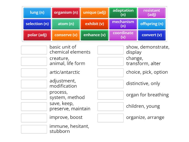 ESL 28 Chapter 10 Flashcards A - Match up