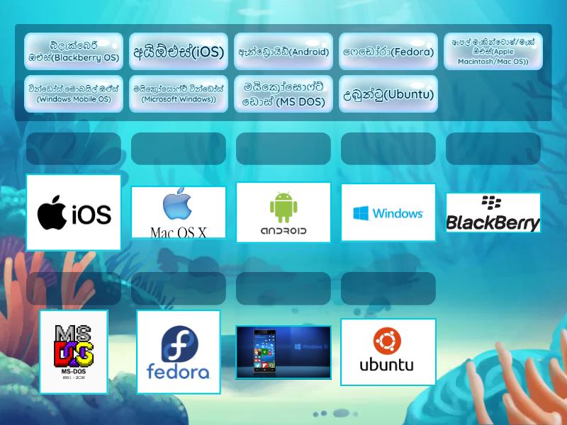 Operating System - Match up