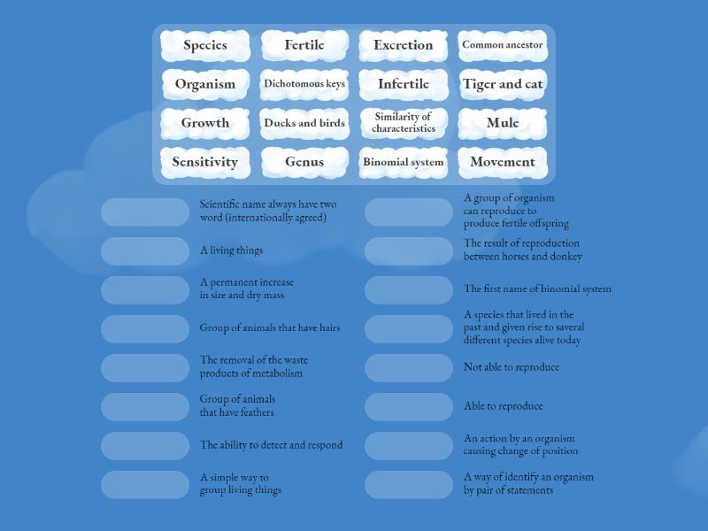 Characteristics and classification of organism - Match up