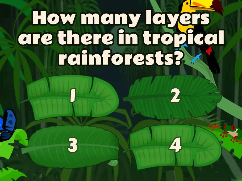Layers of the Rainforest - Quiz