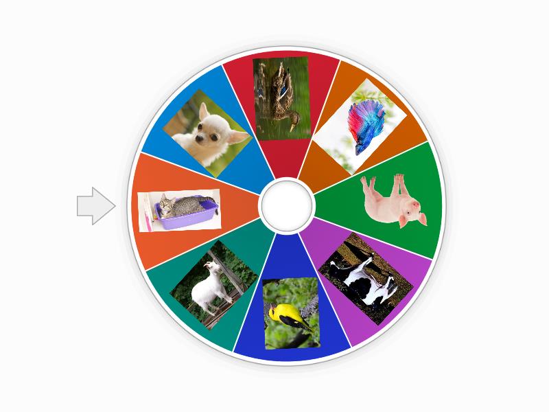 Animals - Spin the wheel