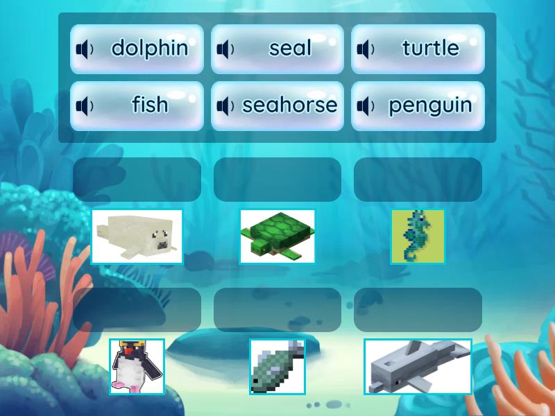 sea animals - Match up