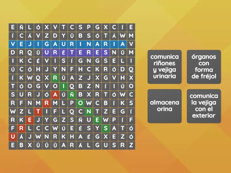 EL SISTEMA URINARIO - Sopa de letras