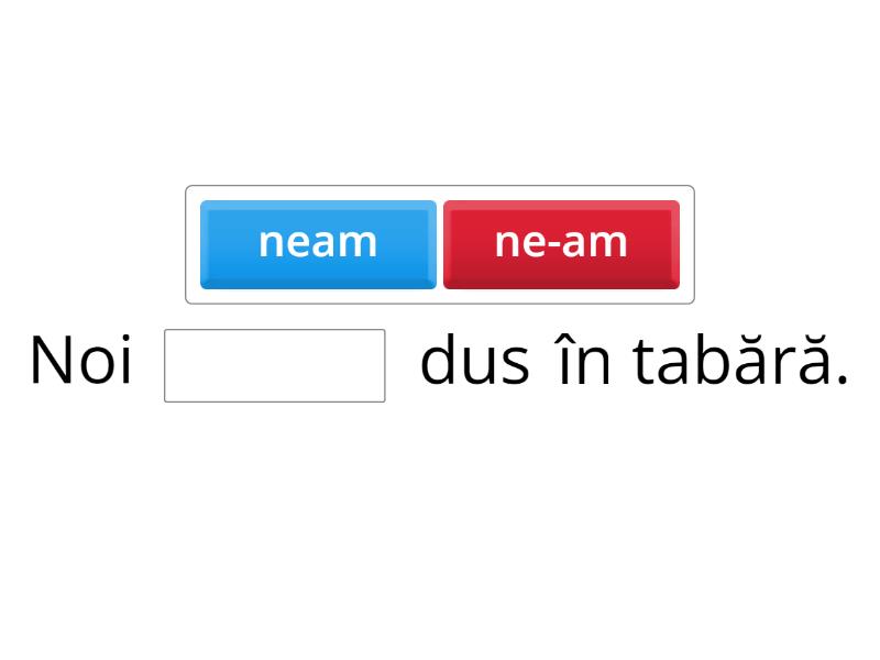 Scrierea cu ne-am/neam - Complete the sentence
