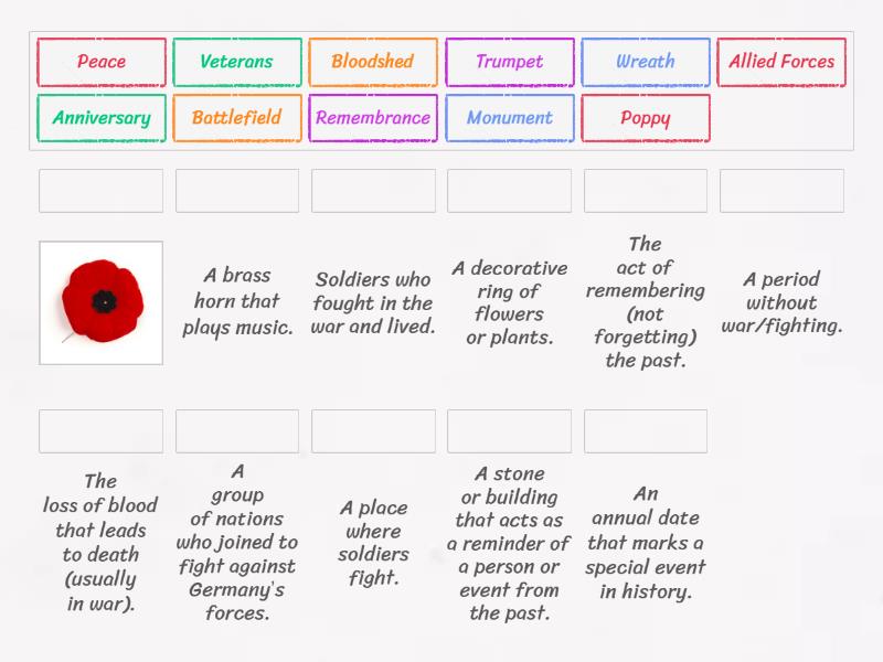 Remembrance Day Vocabulary Matching - Match up