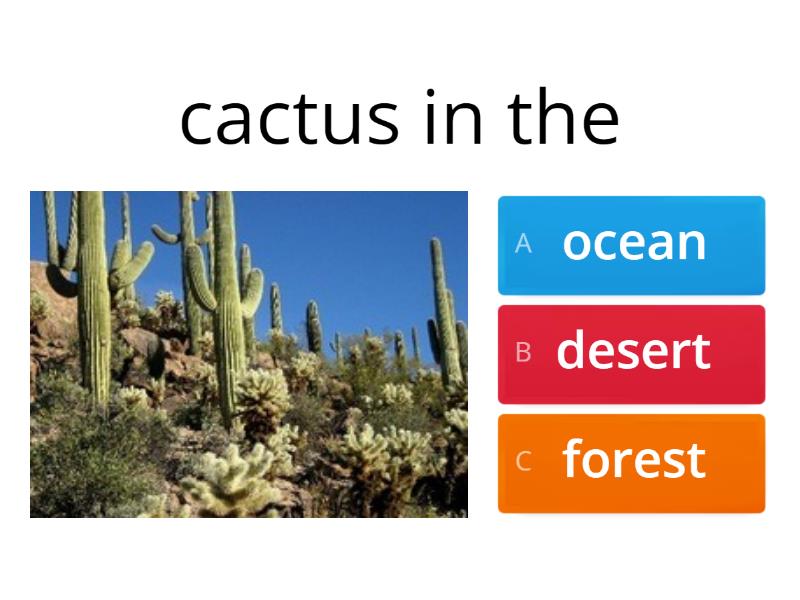 desert - Quiz