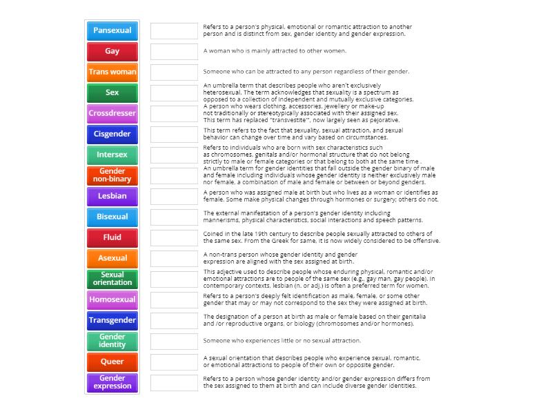 Gender Identity and Sexual Orientation Terminology - Match up