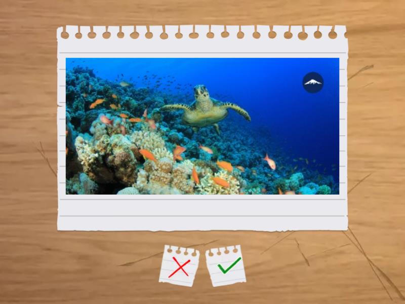 rm b2+ 5b ex 2 - Flash cards