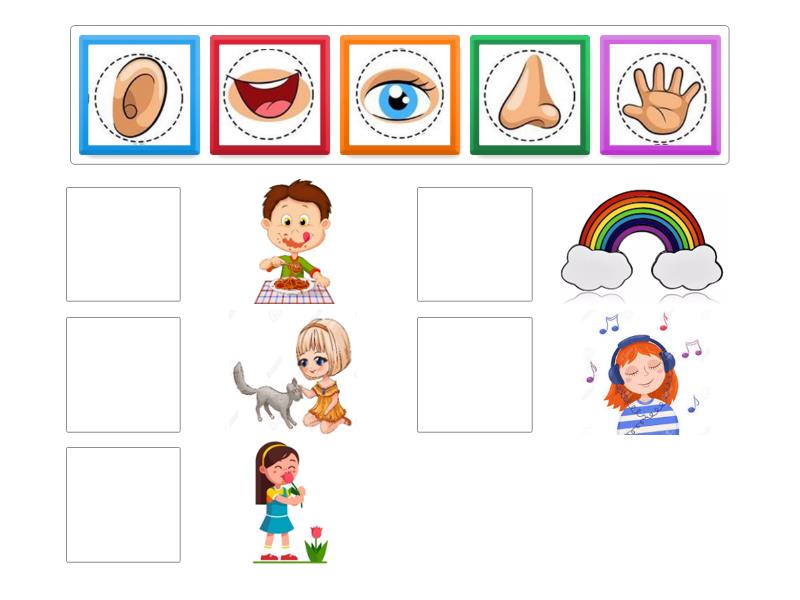 Los cinco sentidos. - Match up