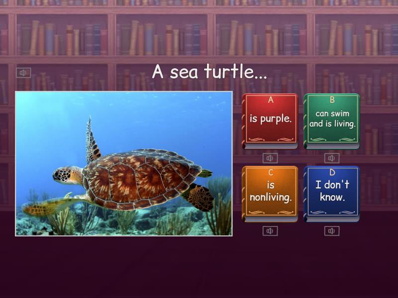 Sea Animals and Living-Nonliving. - Quiz