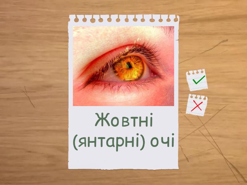 People's appearance - without words - Flash cards