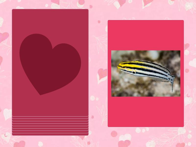 Spots VS Stripes - Speaking cards