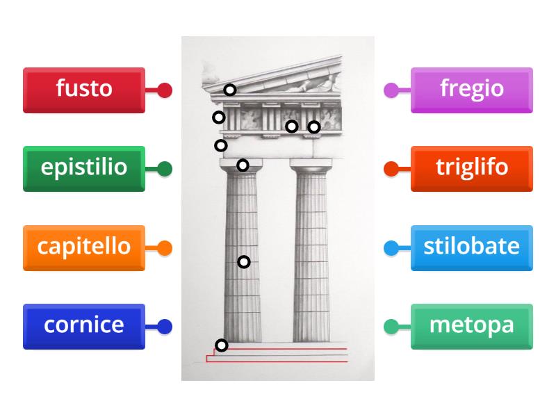 Colonna - Labelled diagram