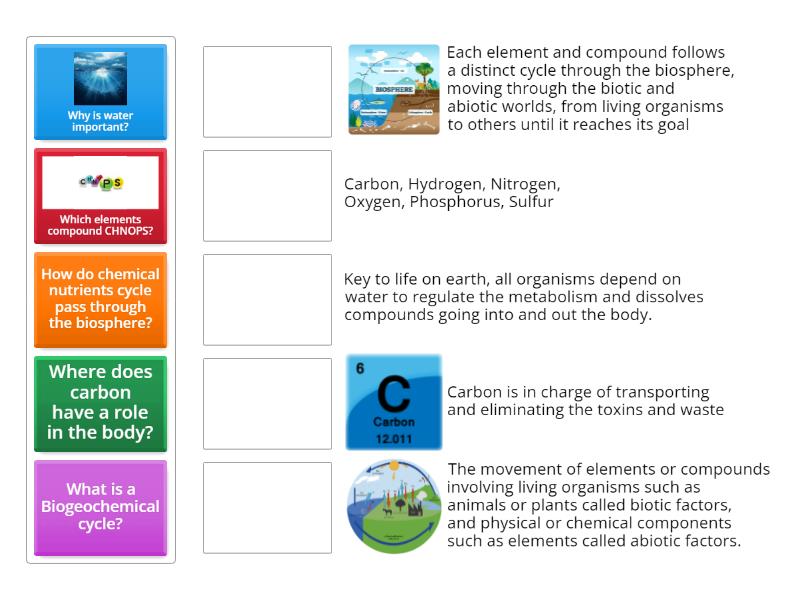 CHNOPS - Une las parejas