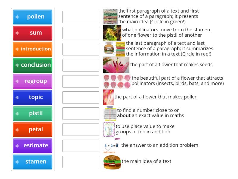 Week 5 Spelling Words and Definitions - Match up
