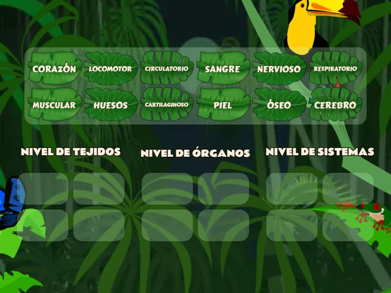 EJEMPLOS DE NIVELES - Group sort