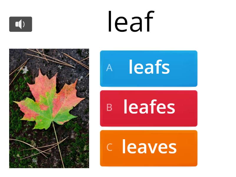 Plural nouns -f, -fe - Quiz